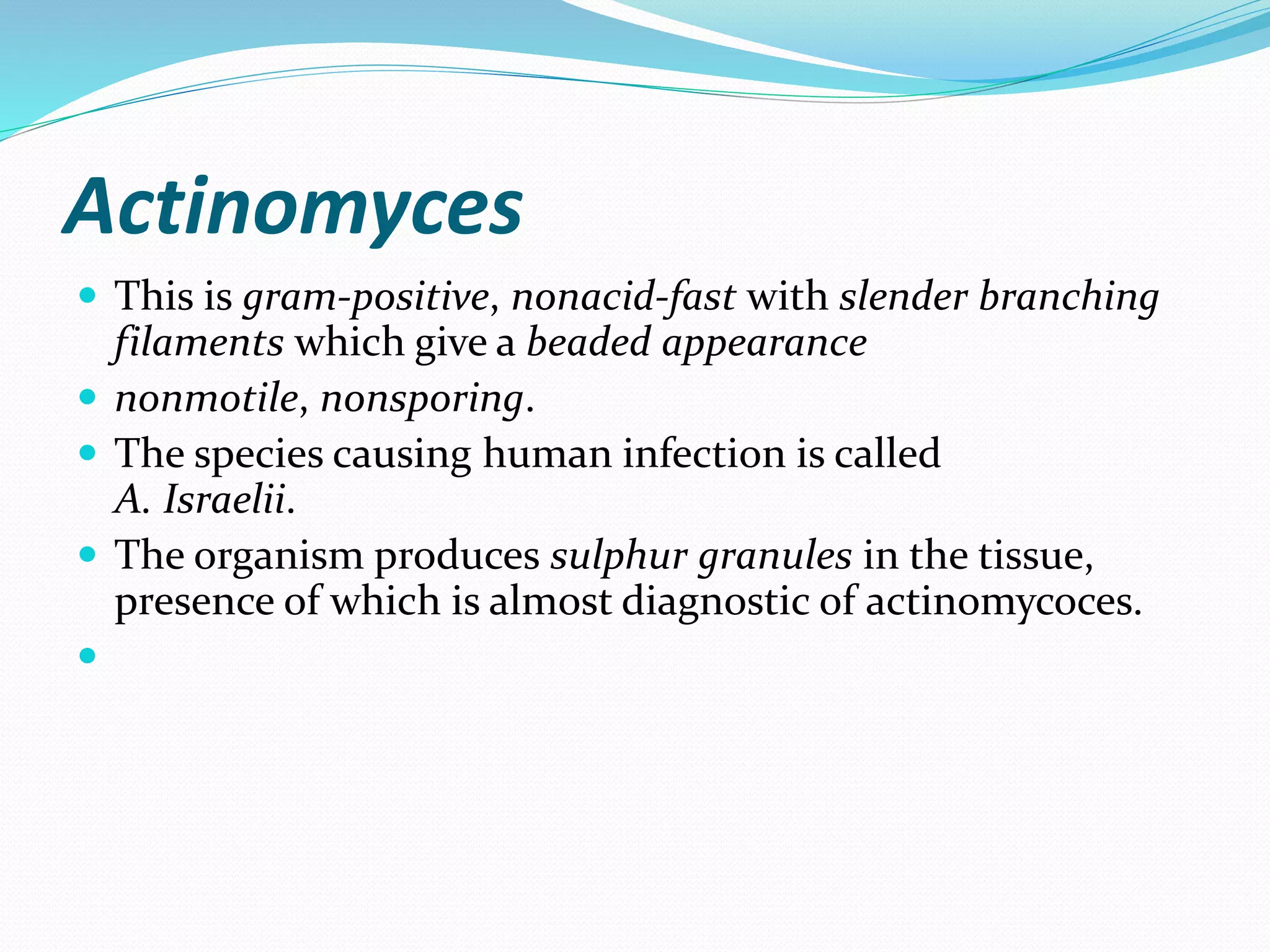 Gram positive bacteria in ocular pathology | PPTX