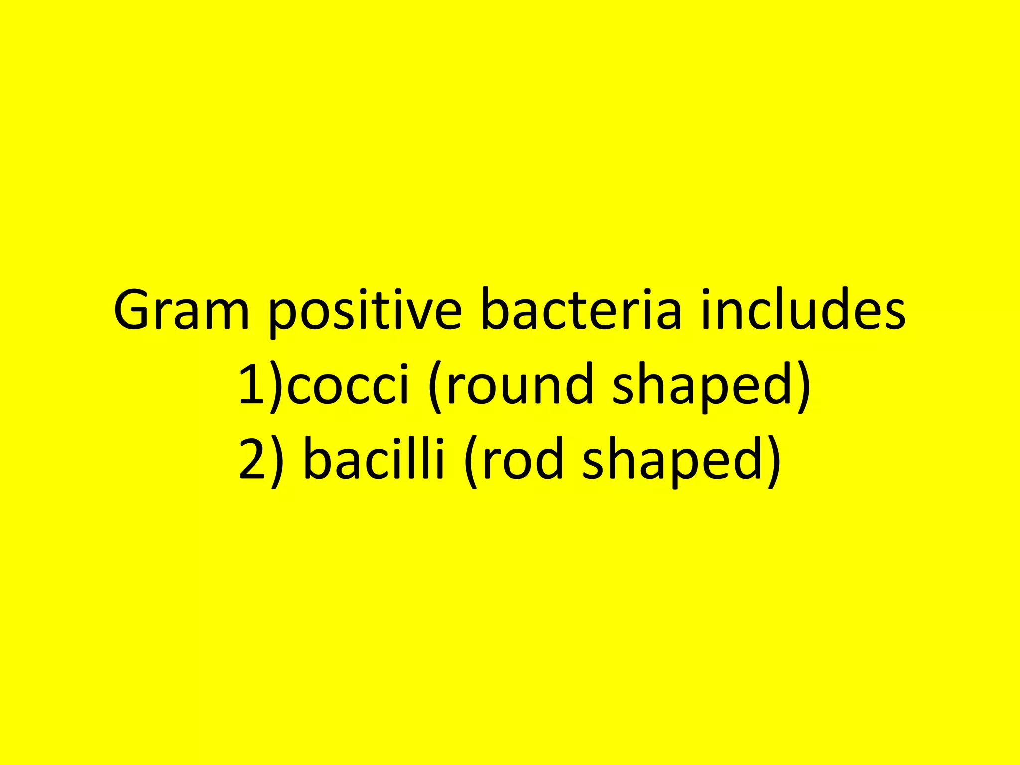 Gram positive bacteria | PPTX