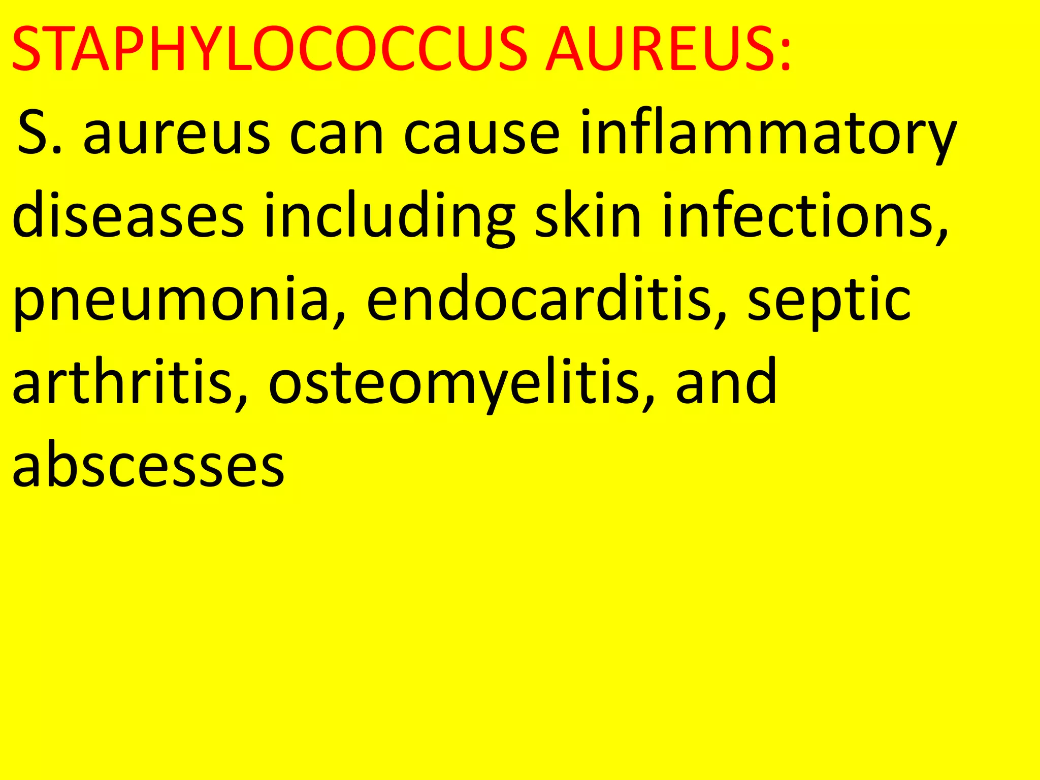 Gram positive bacteria | PPTX