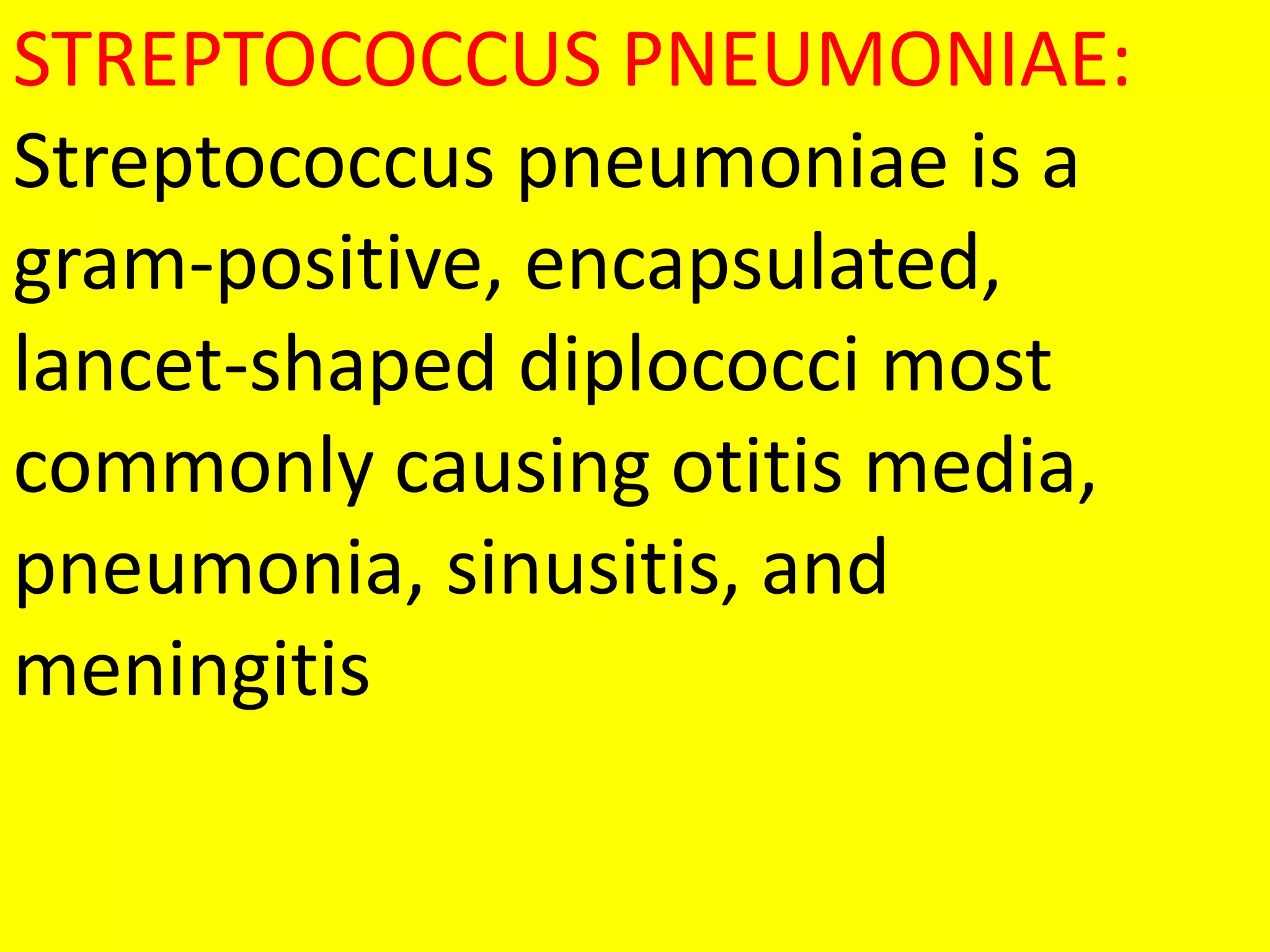 Gram positive bacteria | PPTX