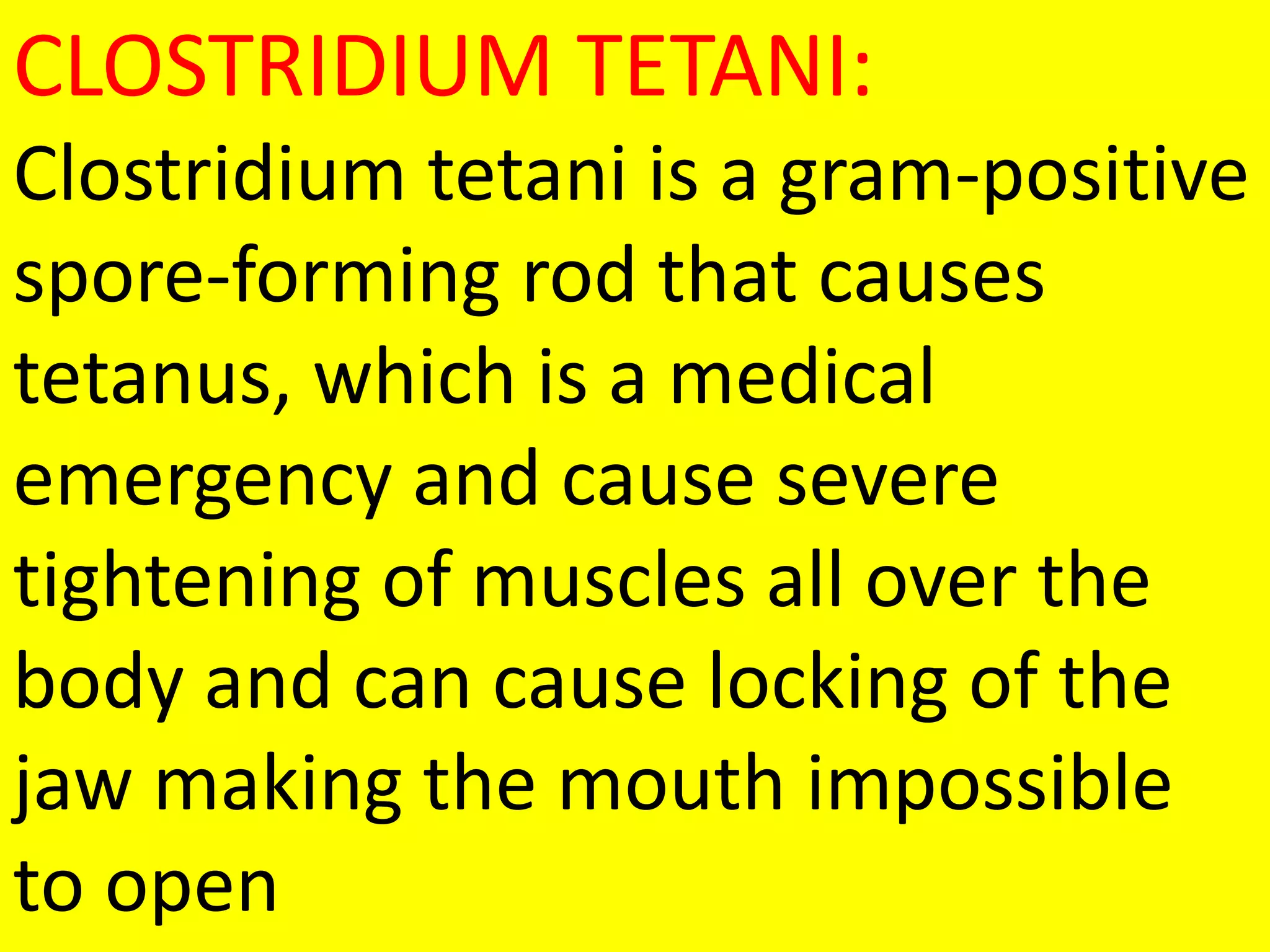 Gram positive bacteria | PPTX