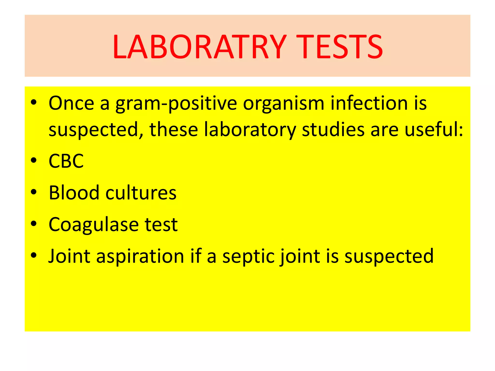 Gram positive bacteria | PPTX