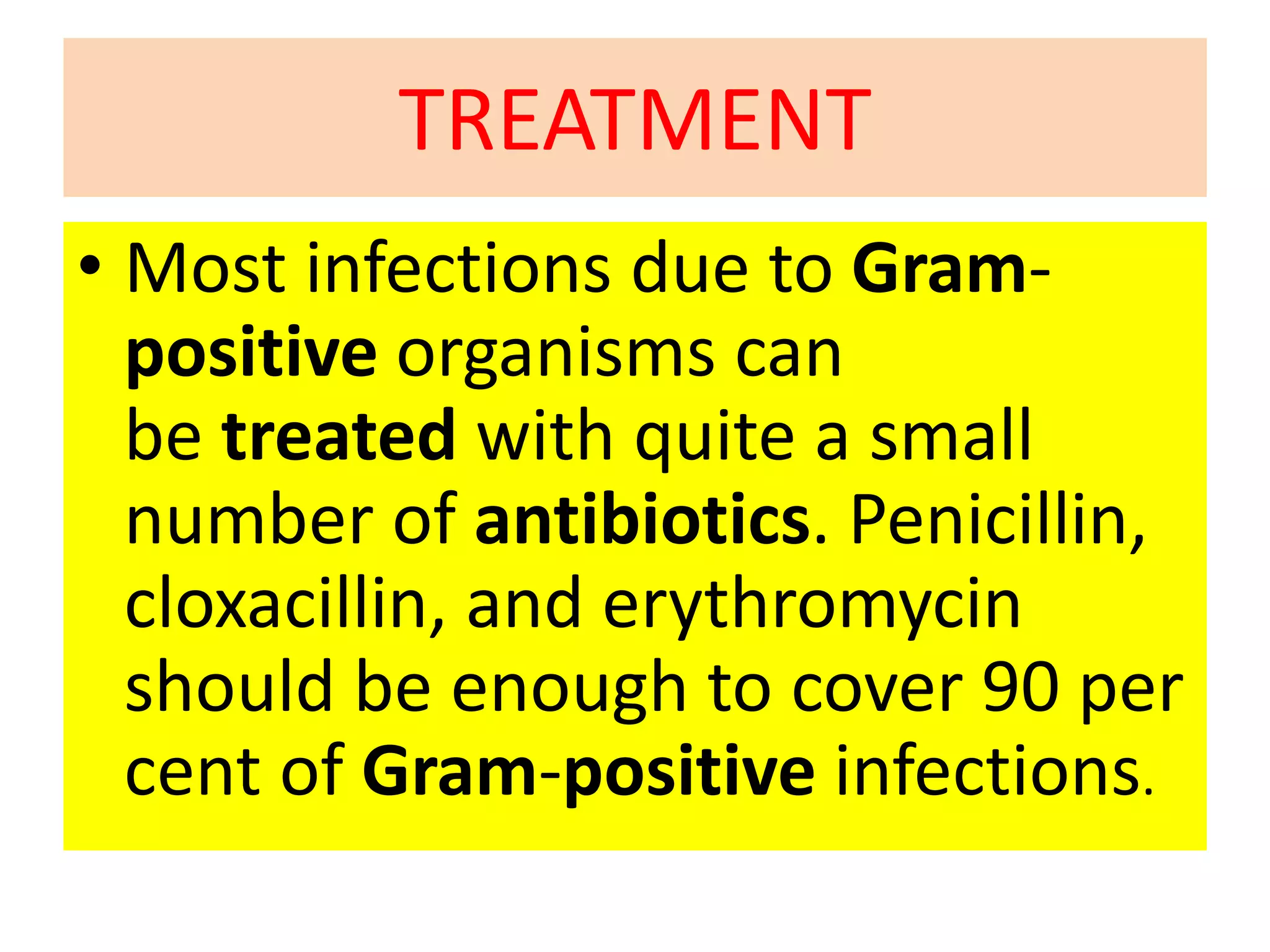 Gram positive bacteria | PPTX