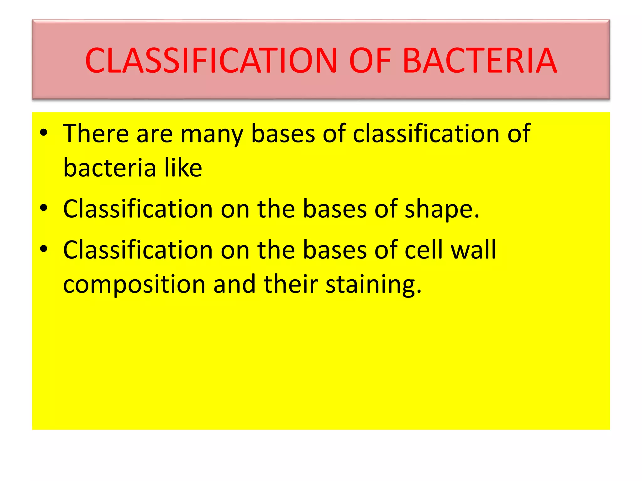 Gram positive bacteria | PPTX