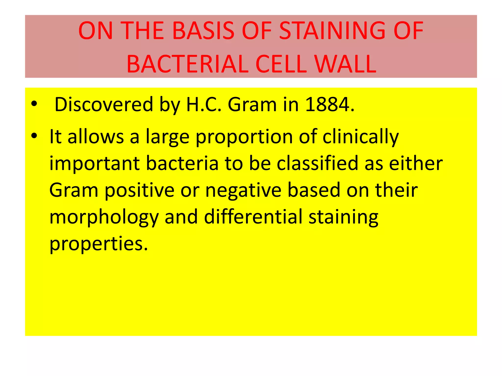 Gram positive bacteria | PPTX