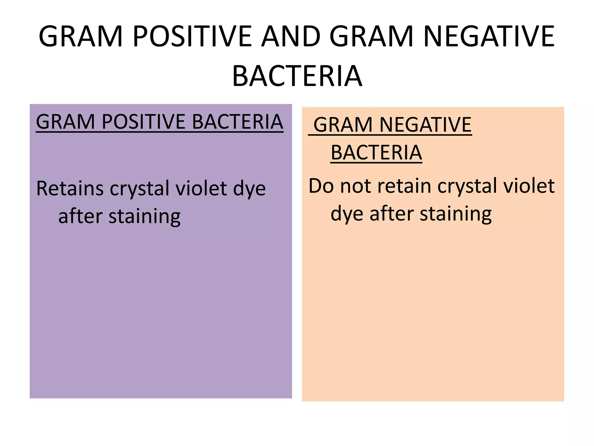 Gram positive bacteria | PPTX