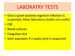 Gram positive bacteria | PPTX