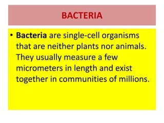 Gram positive bacteria | PPTX