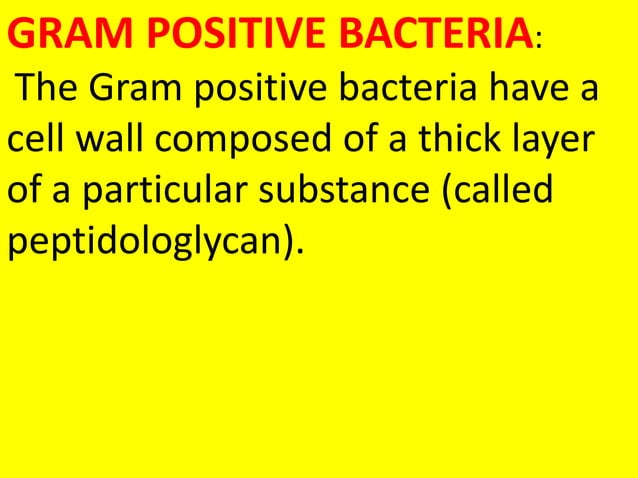 Gram positive bacteria | PPTX