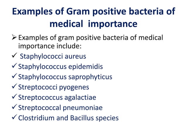 GRAM POSITIVE BACTERIA.pptx