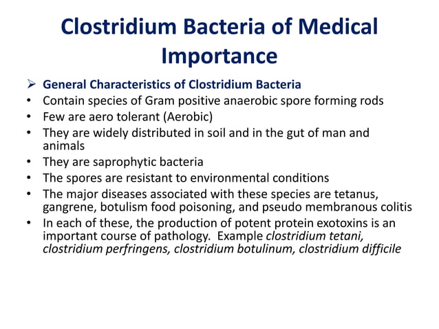 GRAM POSITIVE BACTERIA.pptx