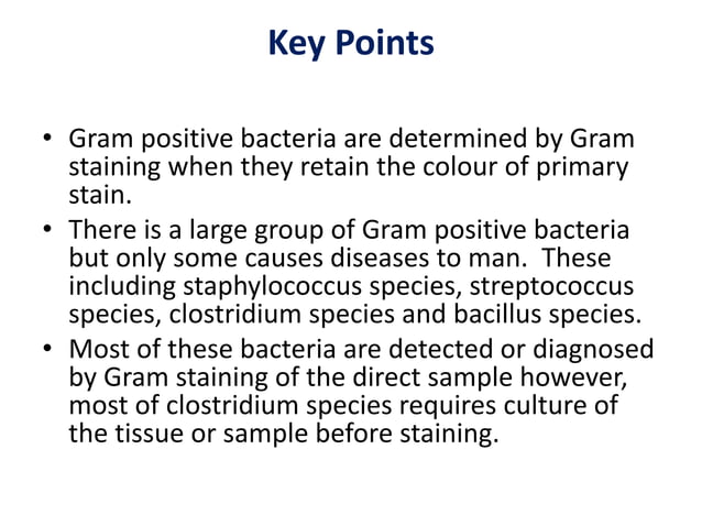 GRAM POSITIVE BACTERIA.pptx