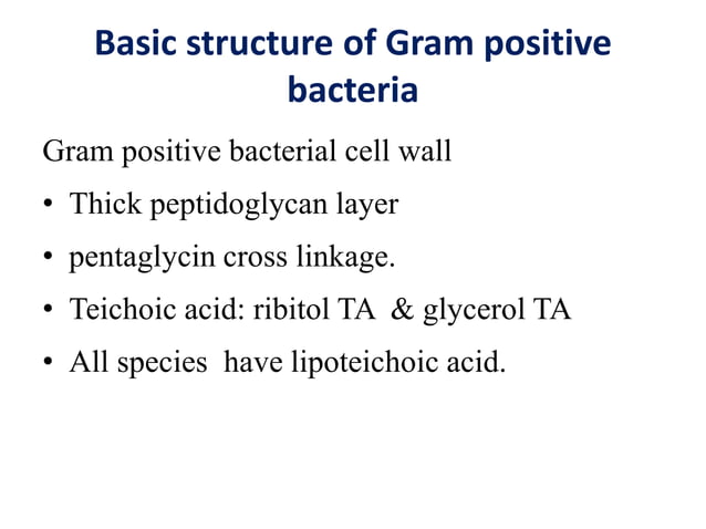 GRAM POSITIVE BACTERIA.pptx