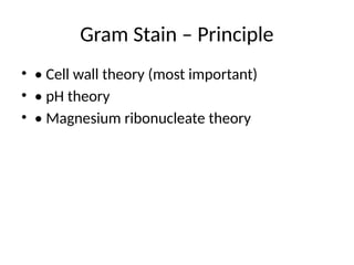 Gram_Positive_Bacteria_Apurba_Sastry-2.pptx
