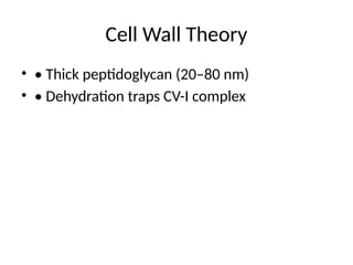 Gram_Positive_Bacteria_Apurba_Sastry-2.pptx