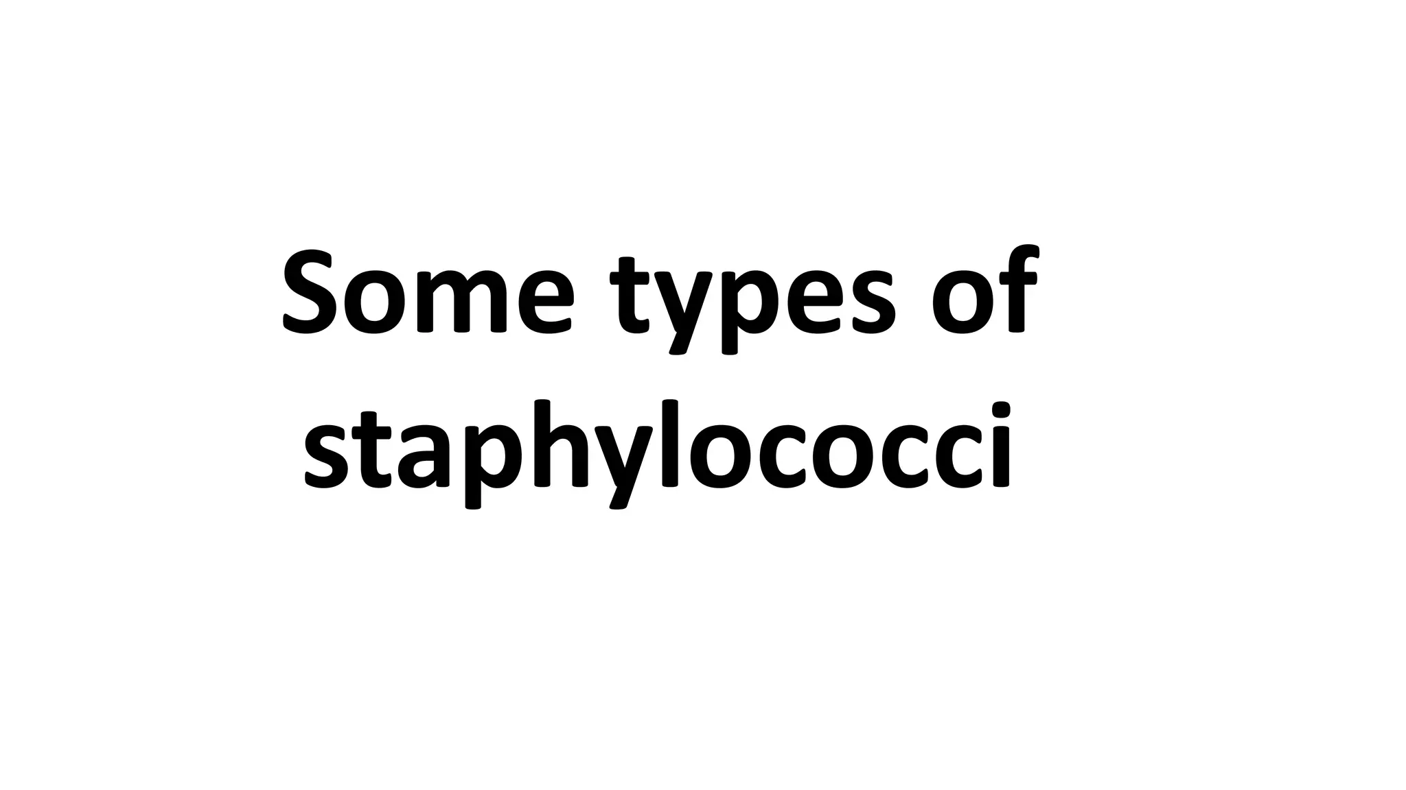 Gram Positive Cocci Ppt