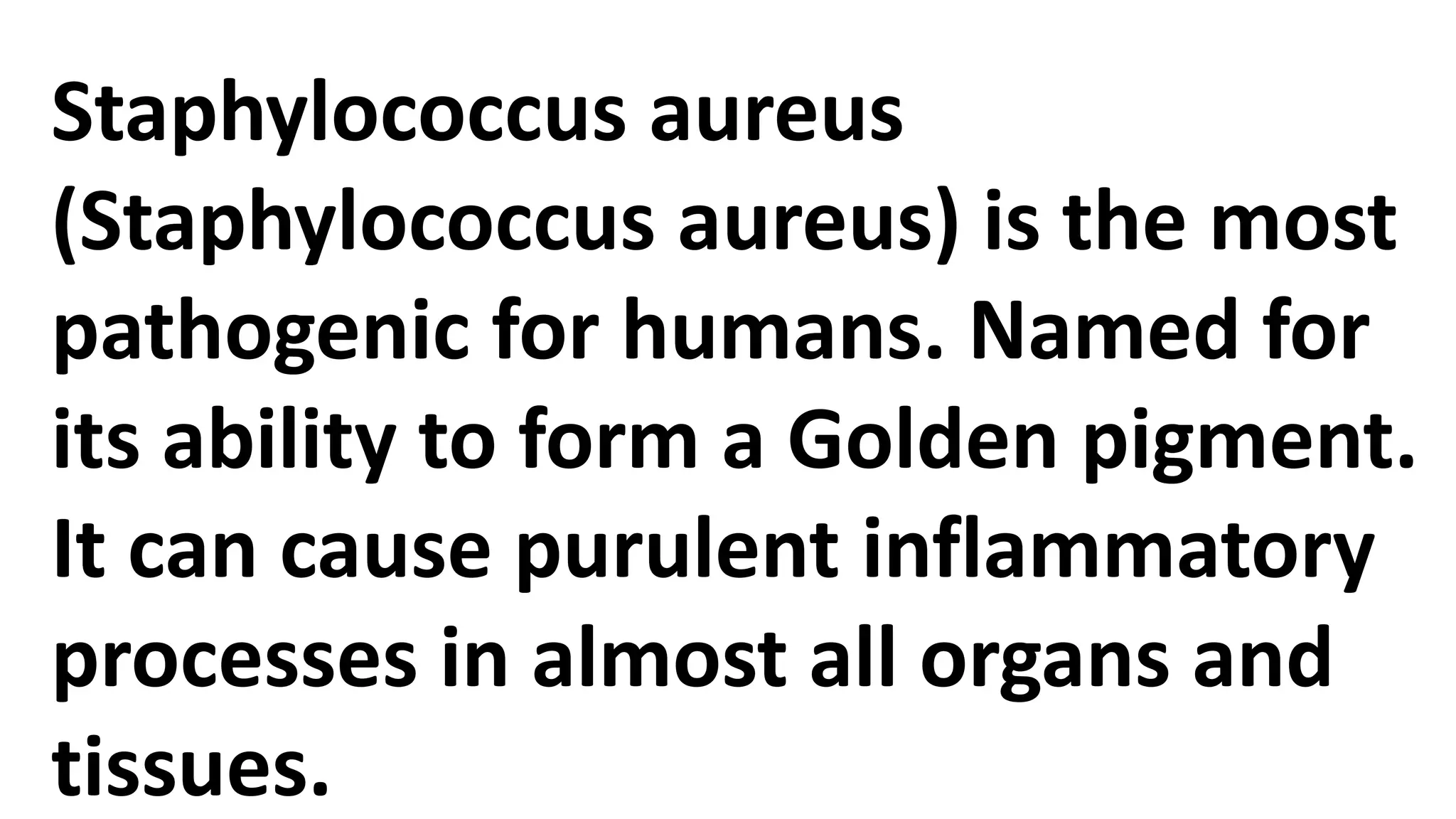 Gram Positive Cocci Ppt