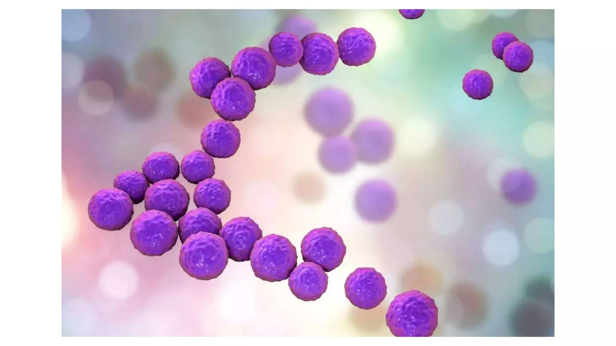 Gram positive cocci | PPTX