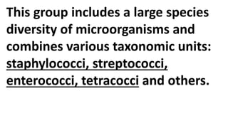 Gram positive cocci | PPTX