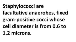Gram positive cocci | PPTX