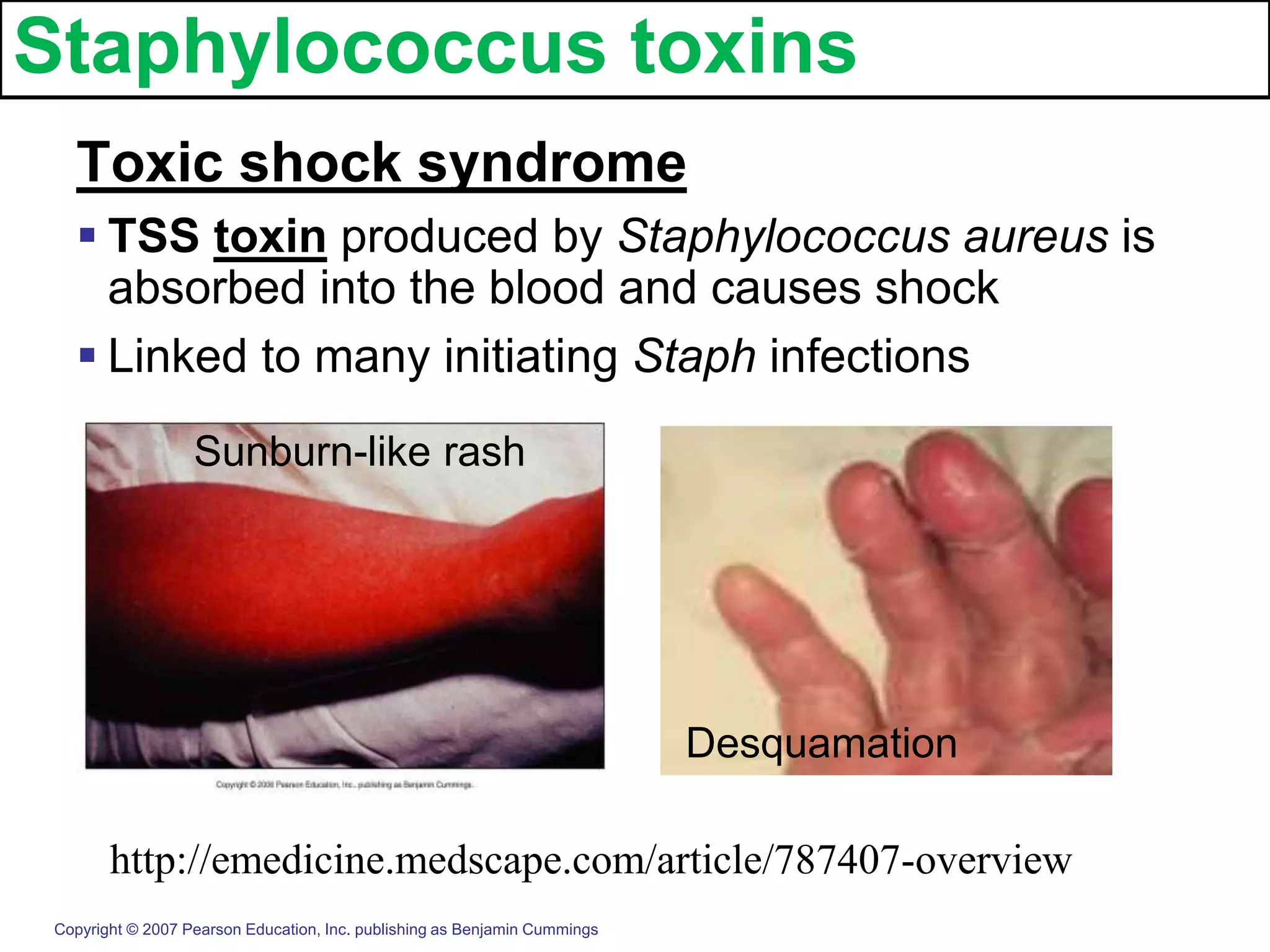 Gram positive cocci | PPT