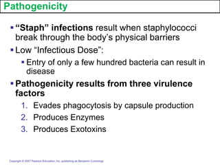 Gram positive cocci | PPT