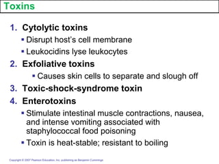 Gram positive cocci | PPT