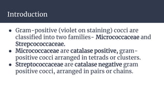 Gram positive cocci - Staphylococcus.pptx