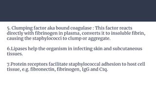 Gram positive cocci - Staphylococcus.pptx