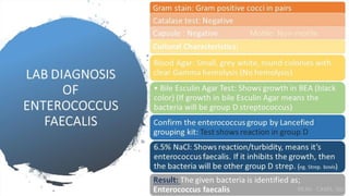 Gram positive cocci identification - Part 1 | PDF | Biological Sciences ...