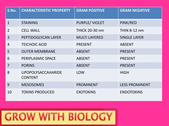Gram positive & Gram negative. | PPTX