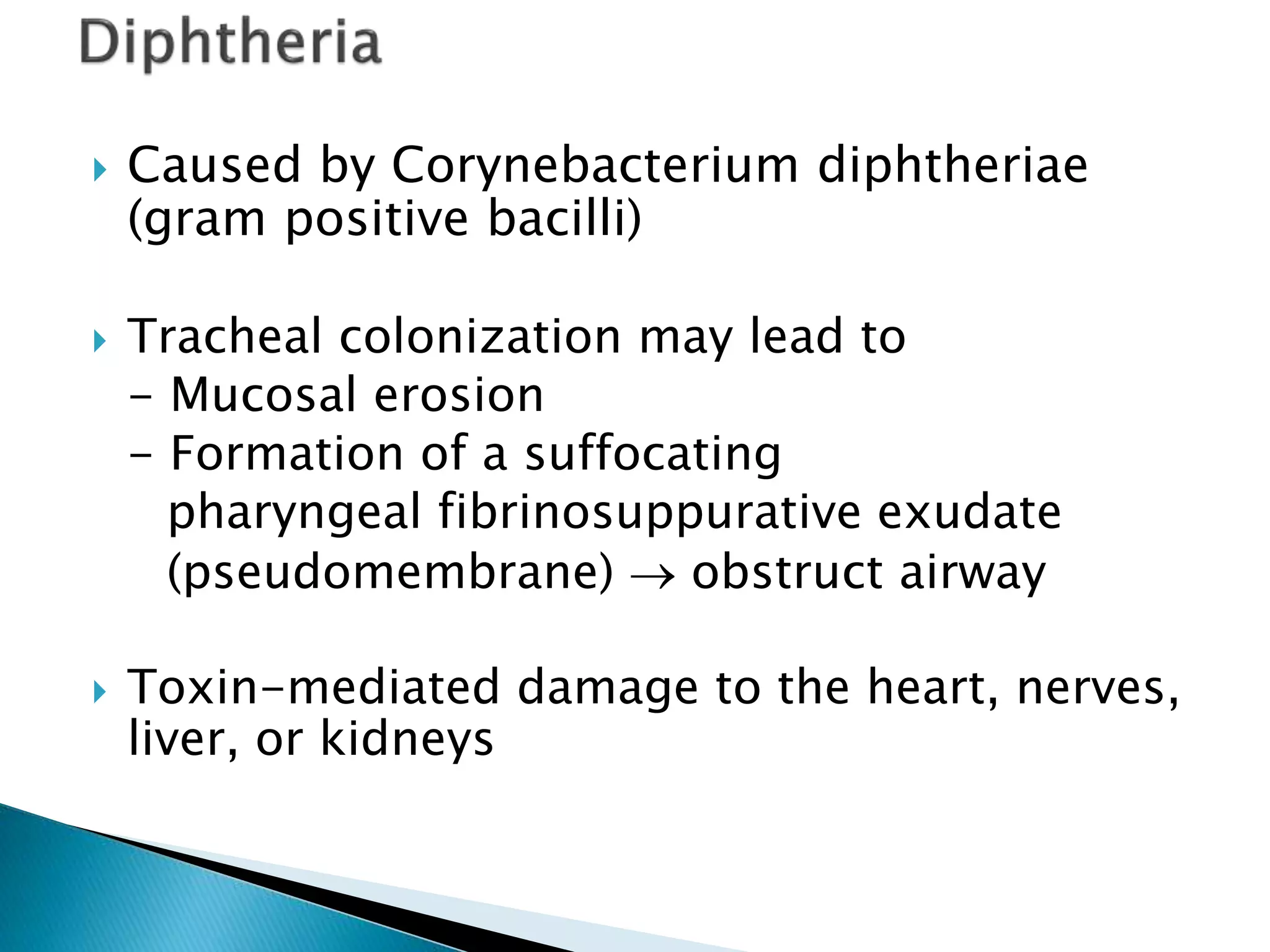 Gram positive infections | PPTX