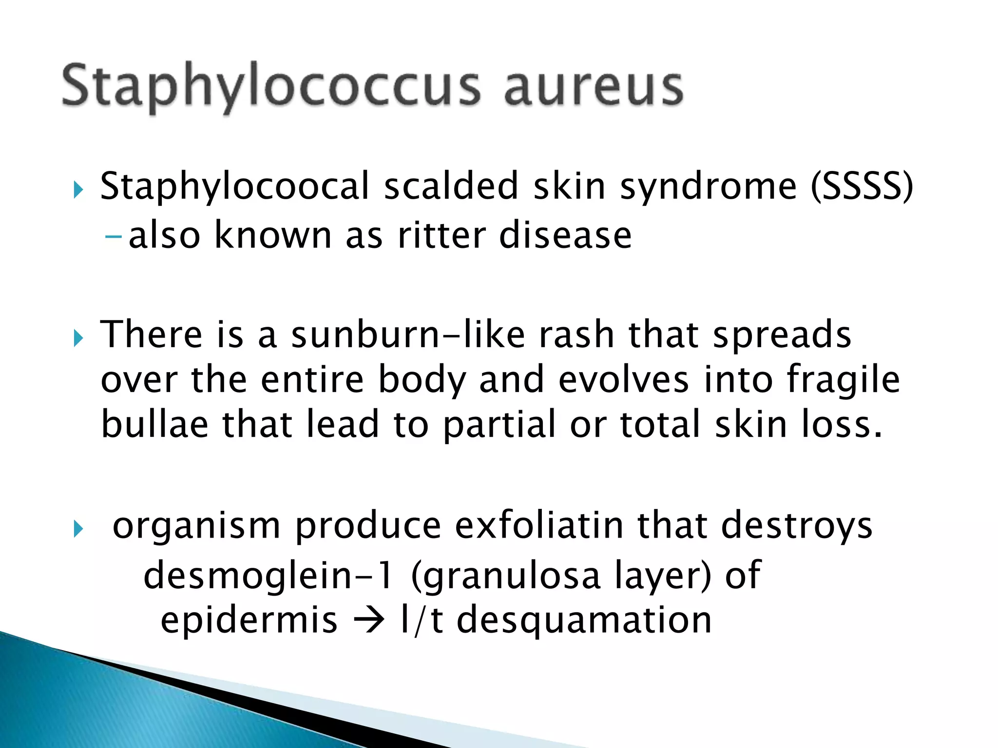 Gram positive infections | PPTX