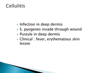 Gram positive infections | PPTX