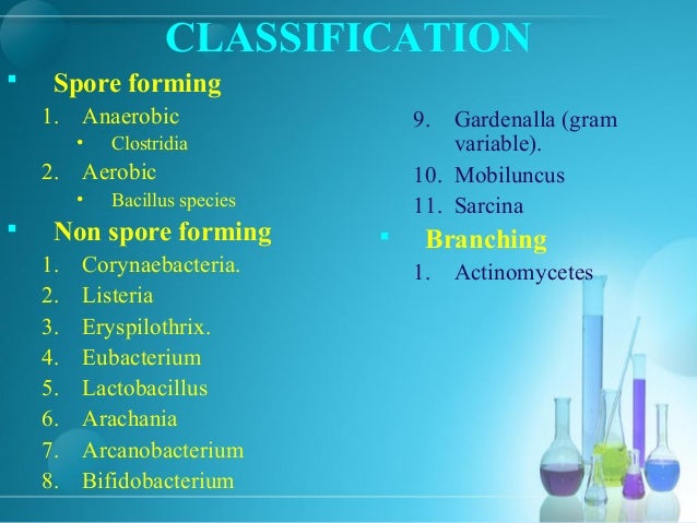 Gram positive rods