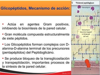 Gram positivos | PPT