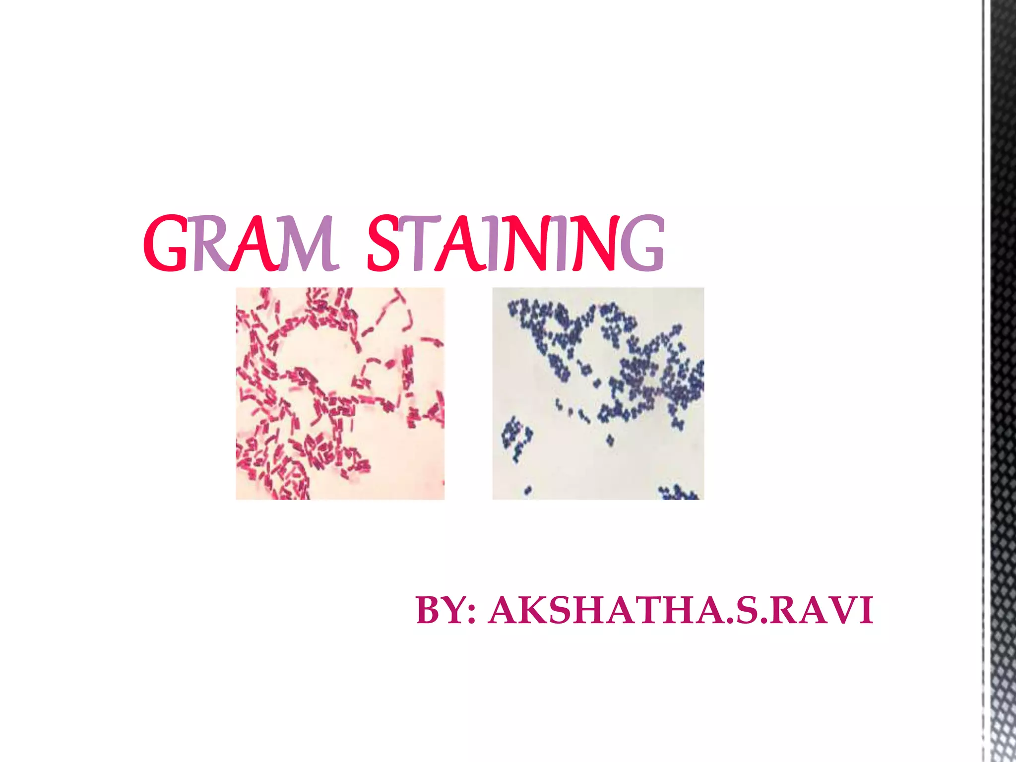 Gram staining | PPTX
