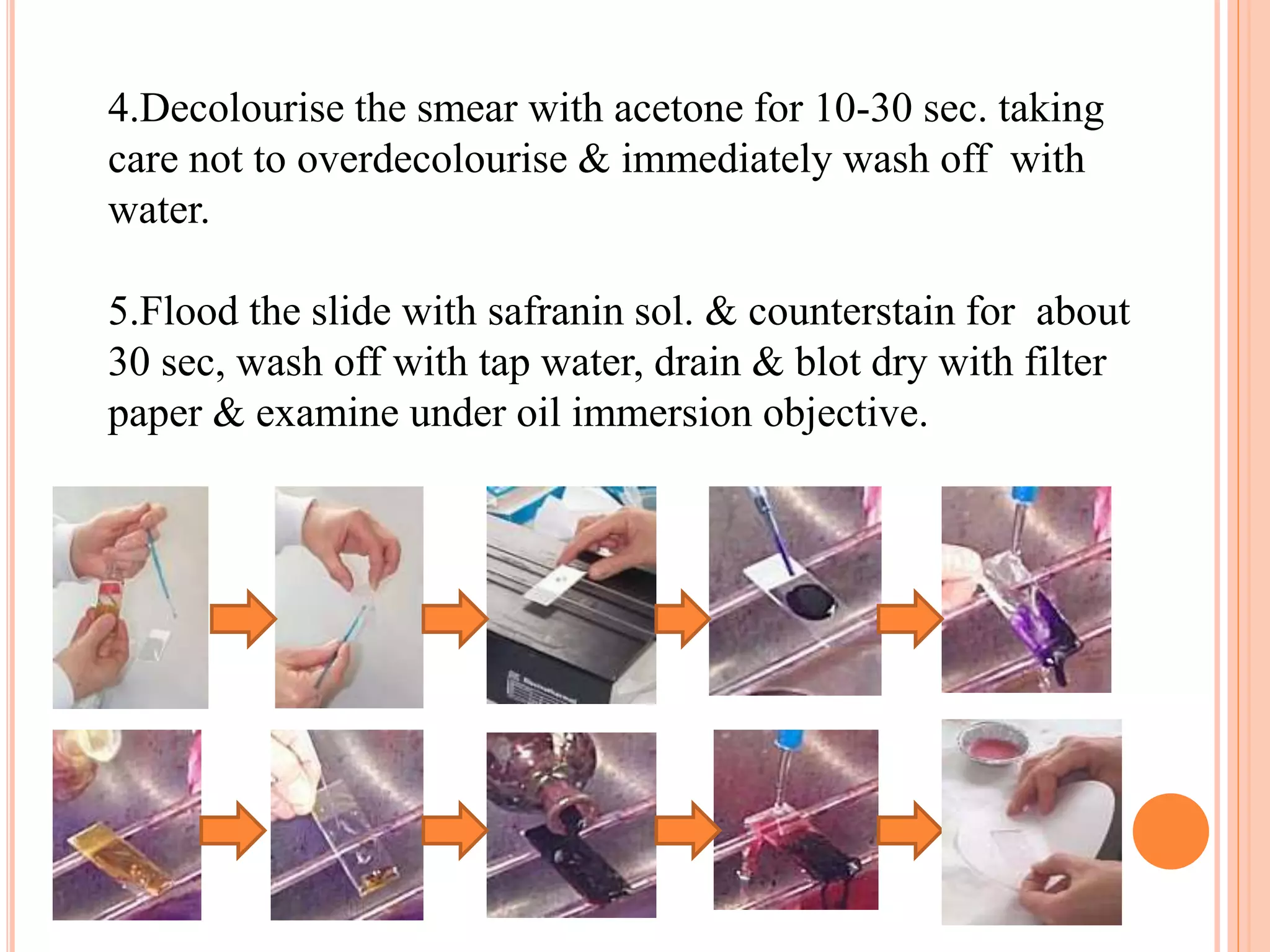 Gram’s staining | PPTX
