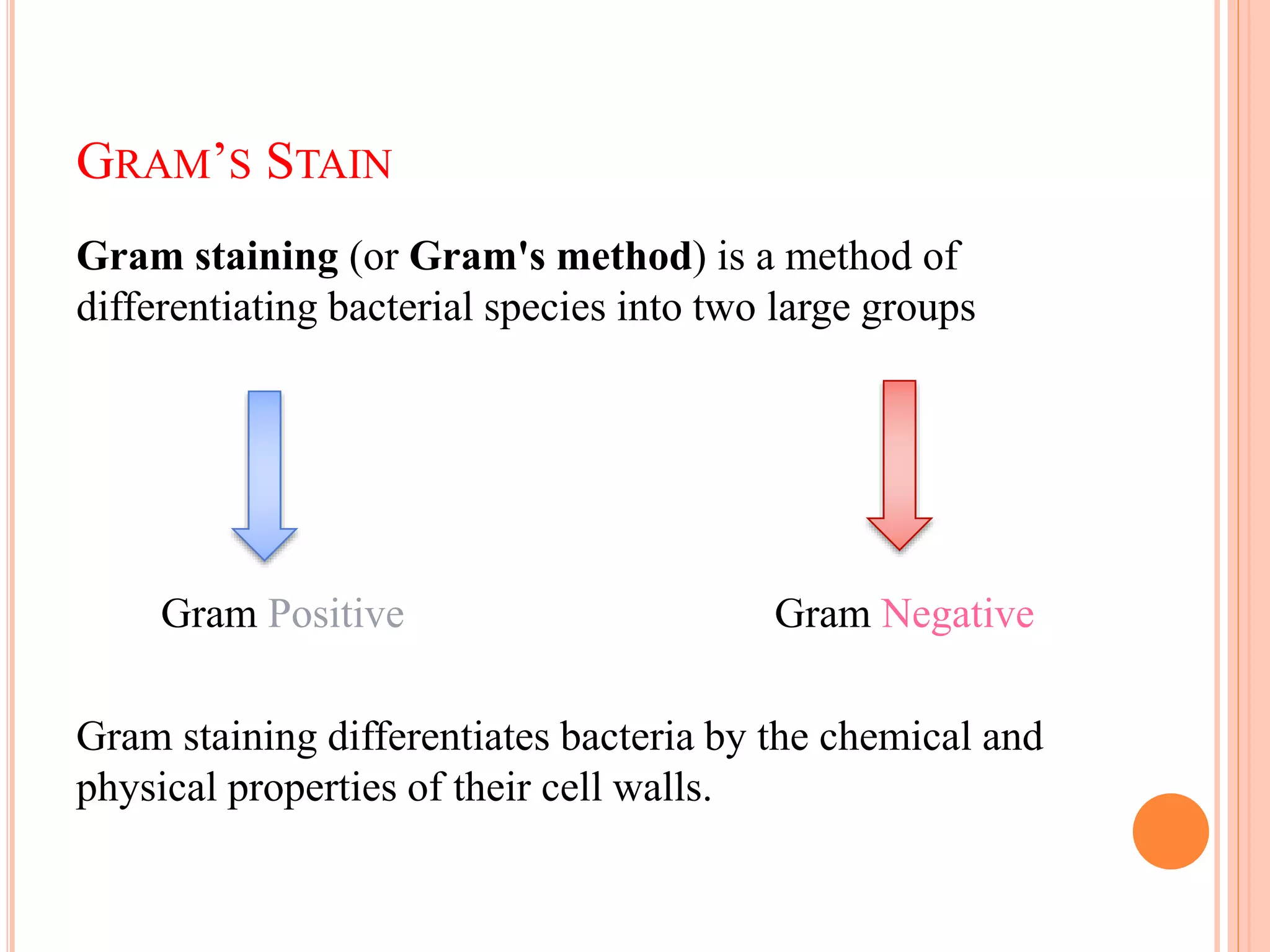 Gram’s staining | PPTX