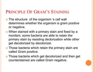 Gram’s staining | PPTX