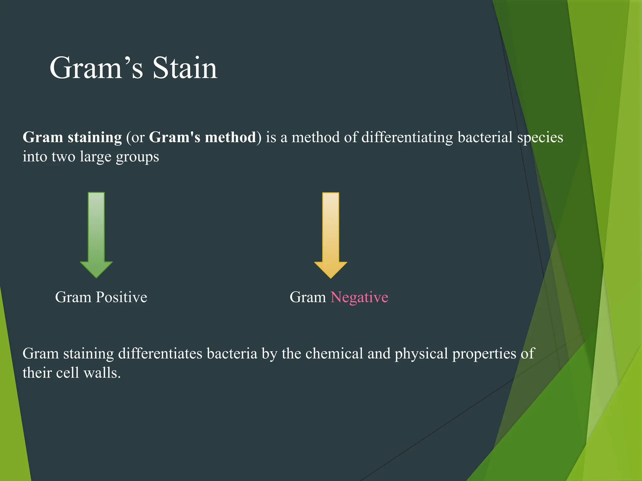 gramsstaining- by spoorthi s sadar .pptx