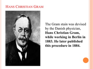 Gram’s staining | PPT
