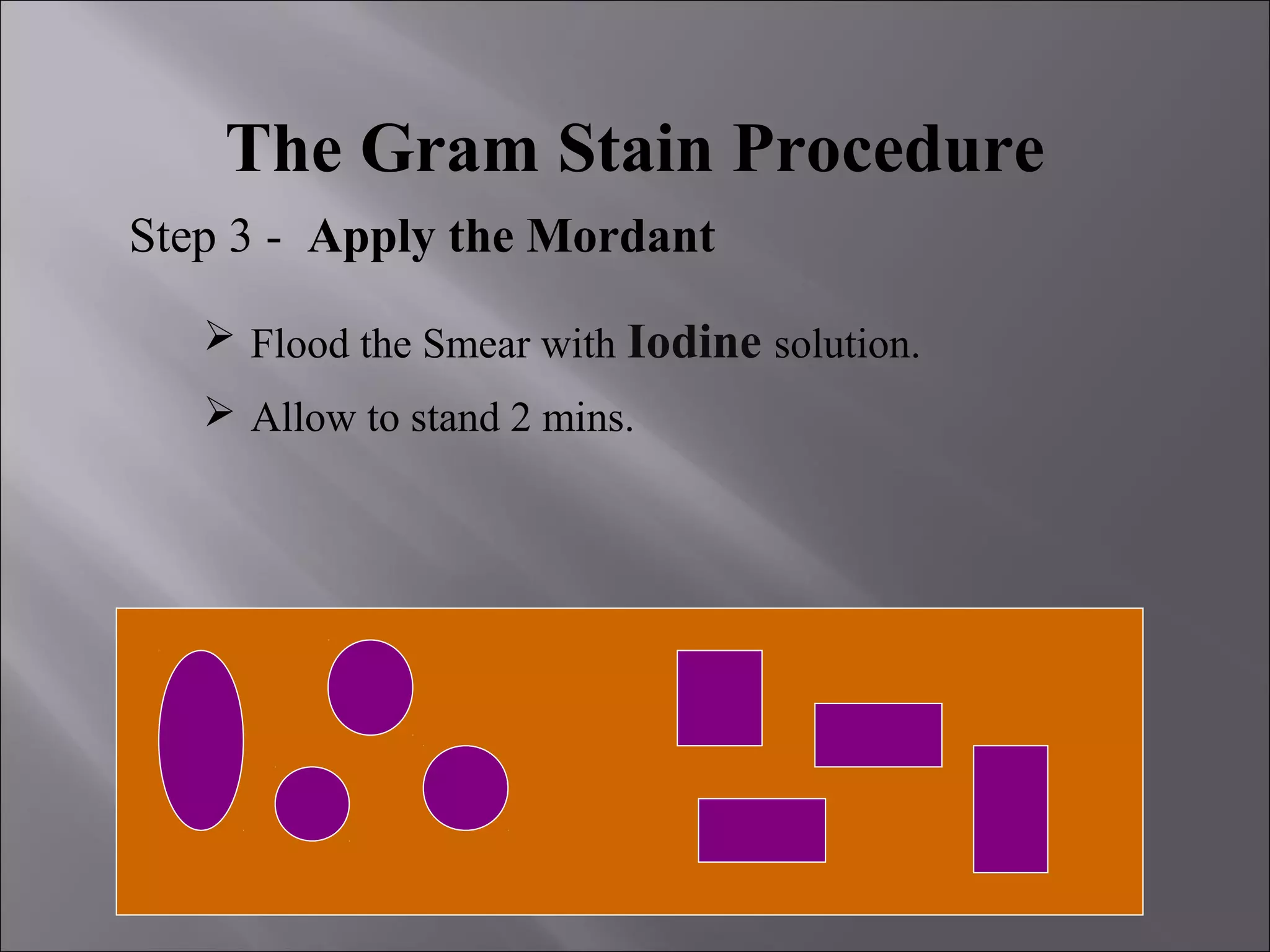Gram's staining | PPT