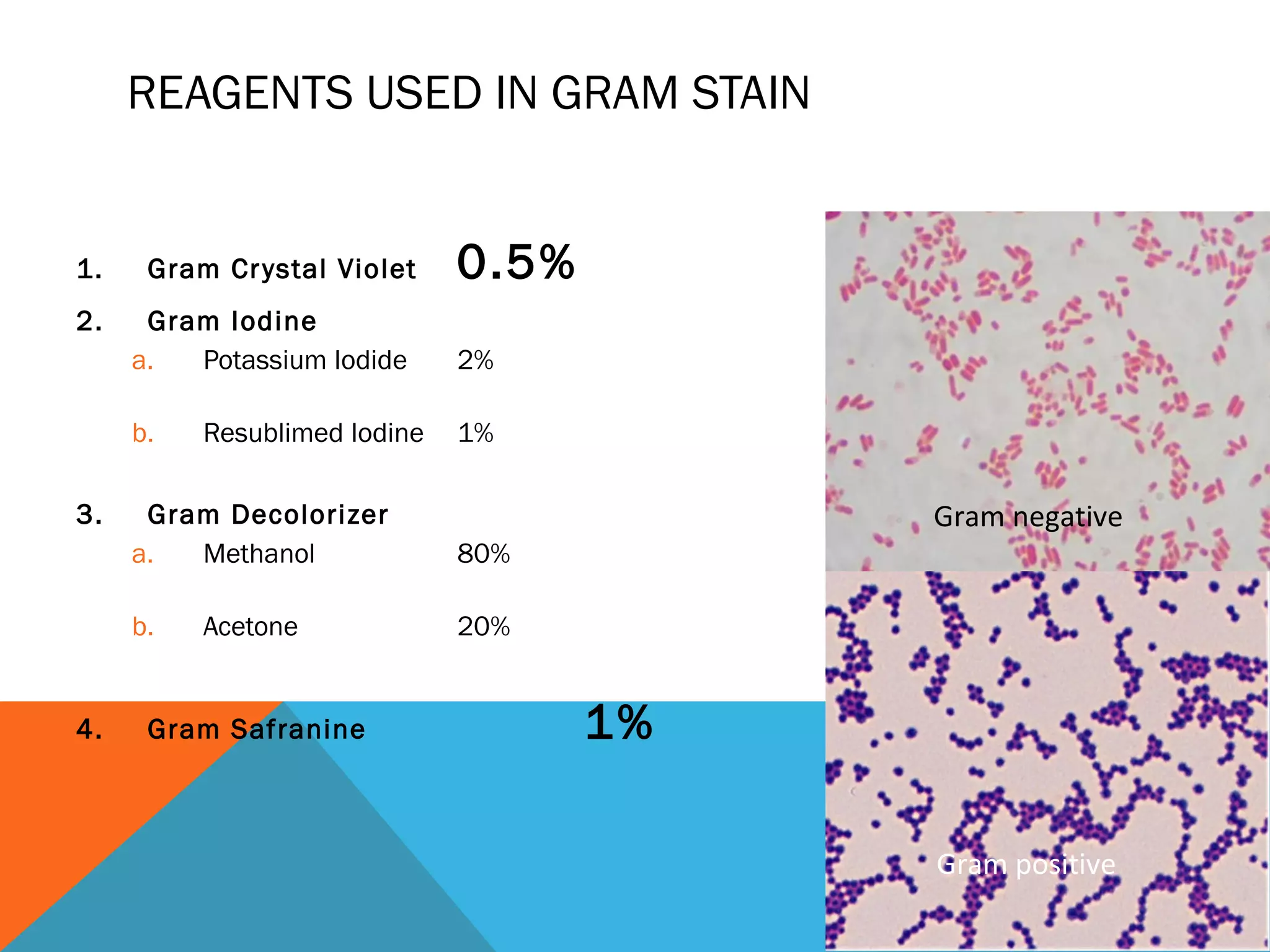 Gram's staining | PPT