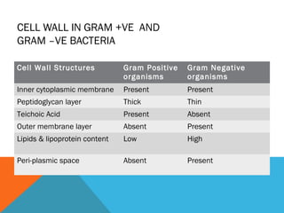 Gram's staining | PPT