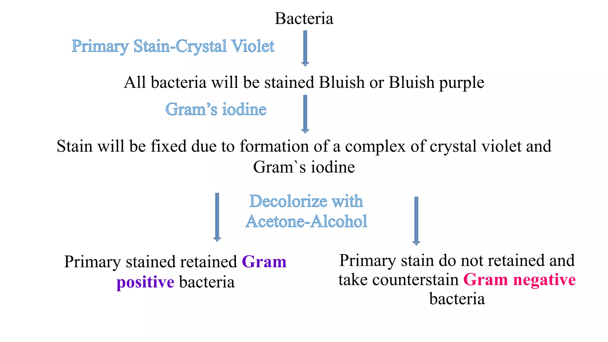 Grams staining | PPTX