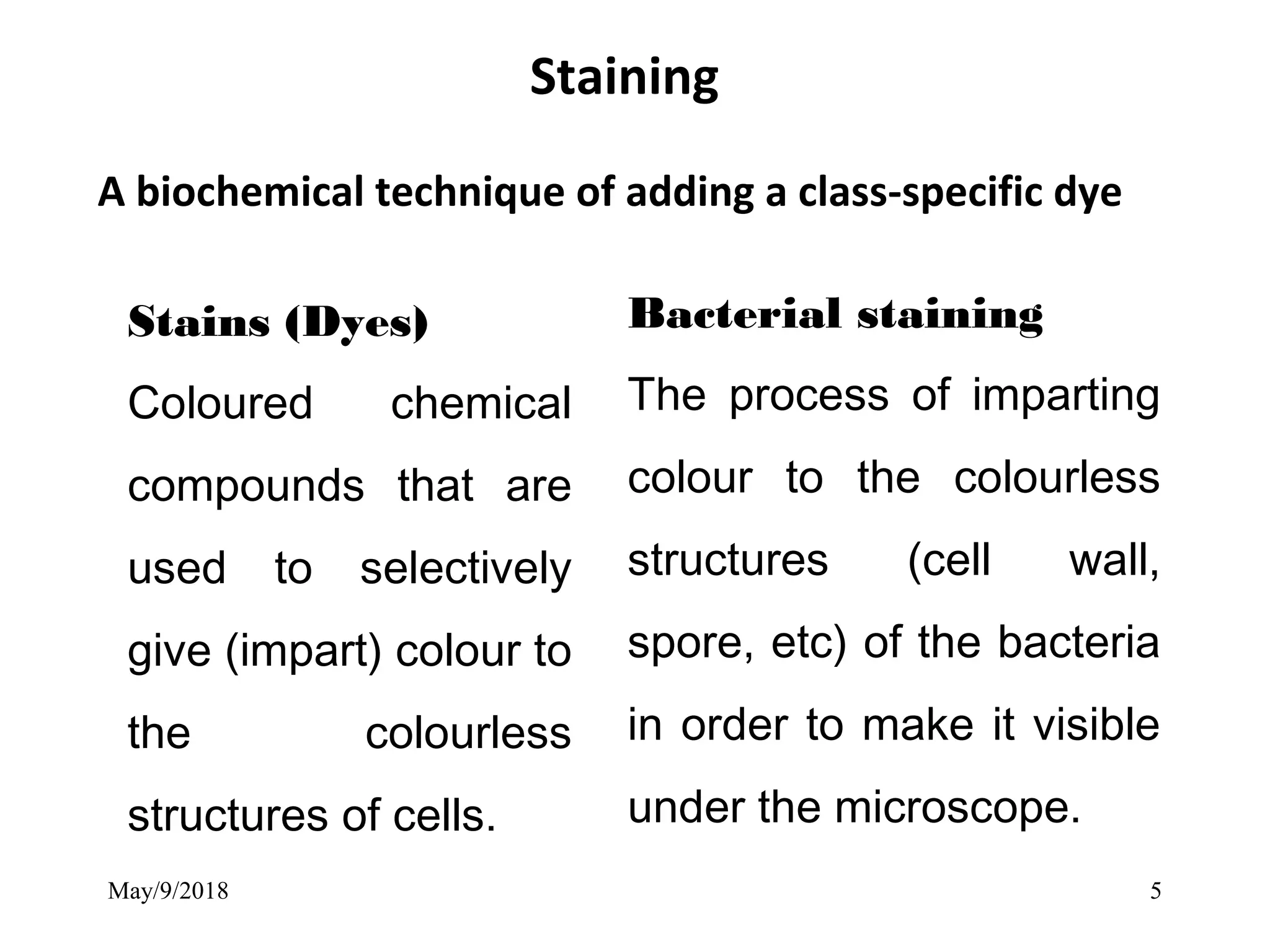 Gram stain | PPT