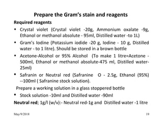 Gram stain | PPT