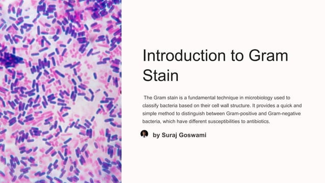 Gram Stain Introduction Principle Procedure Ppt