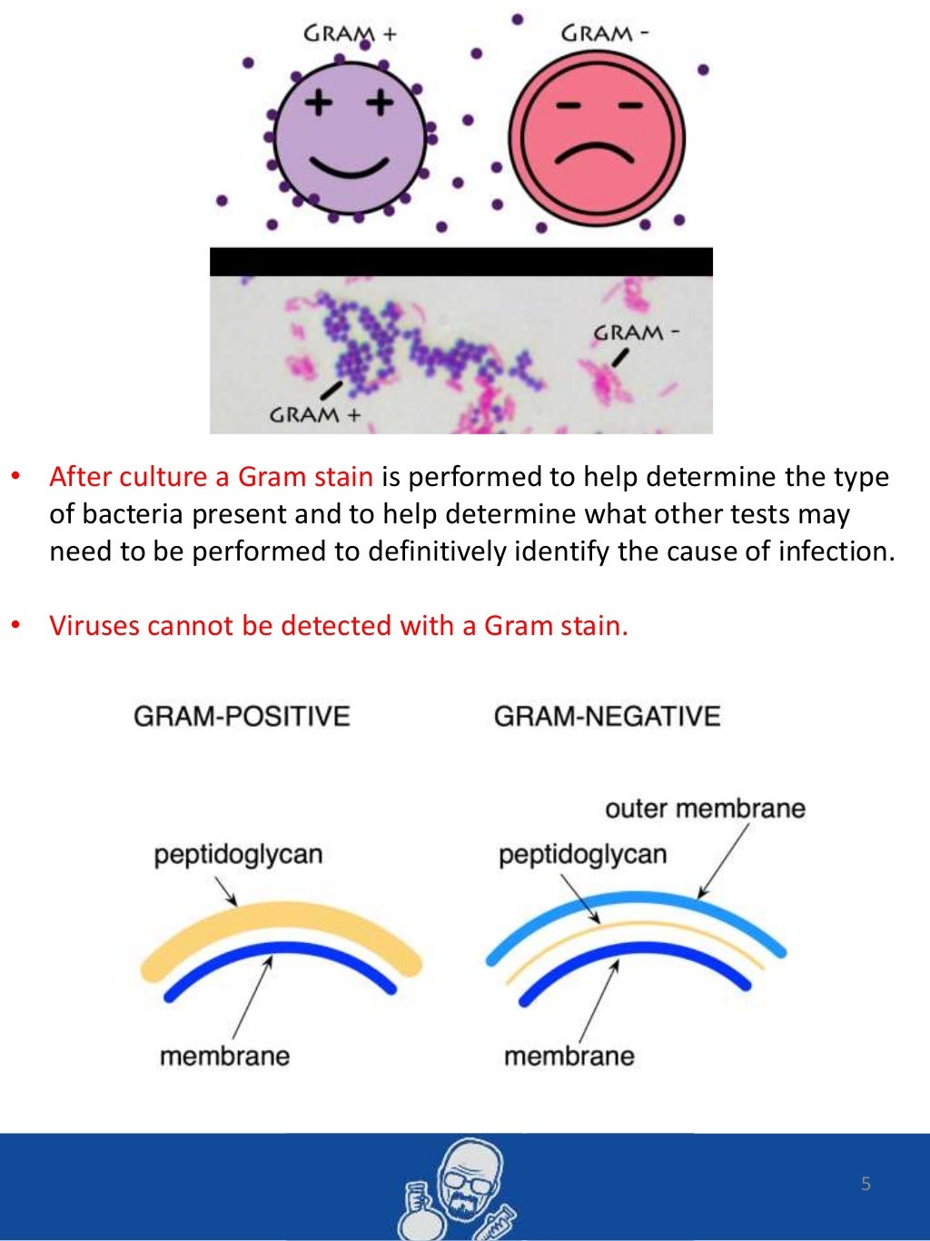 Gram stain lab report - by asem shadid